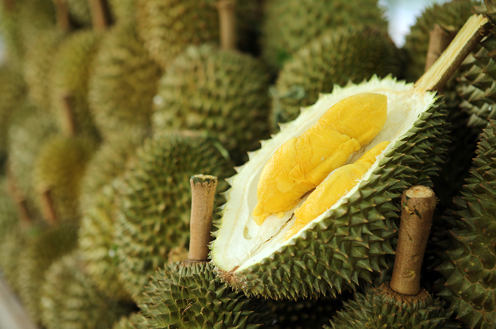 Bombs Away: Durian Smell Causes Massive Panic In Melbourne Library