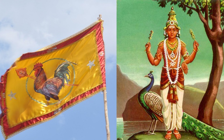 The Significance of the Seval Kodi to Lord Murugan | Astro Ulagam